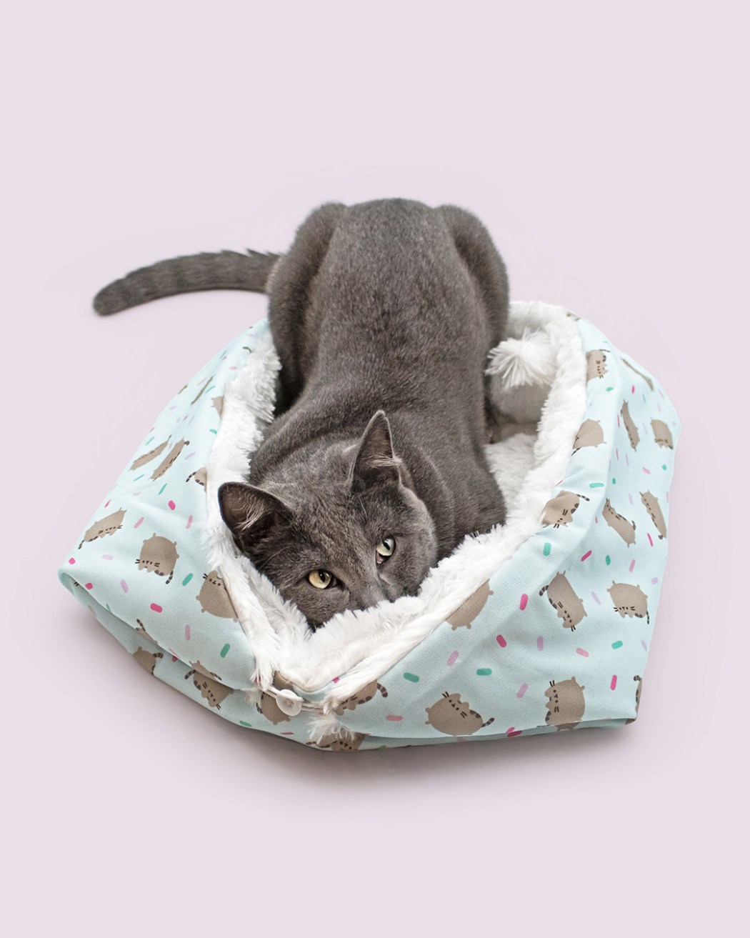 Cat Kit by Pusheen Box Winter 2025 Spoilers! - Hello Subscription