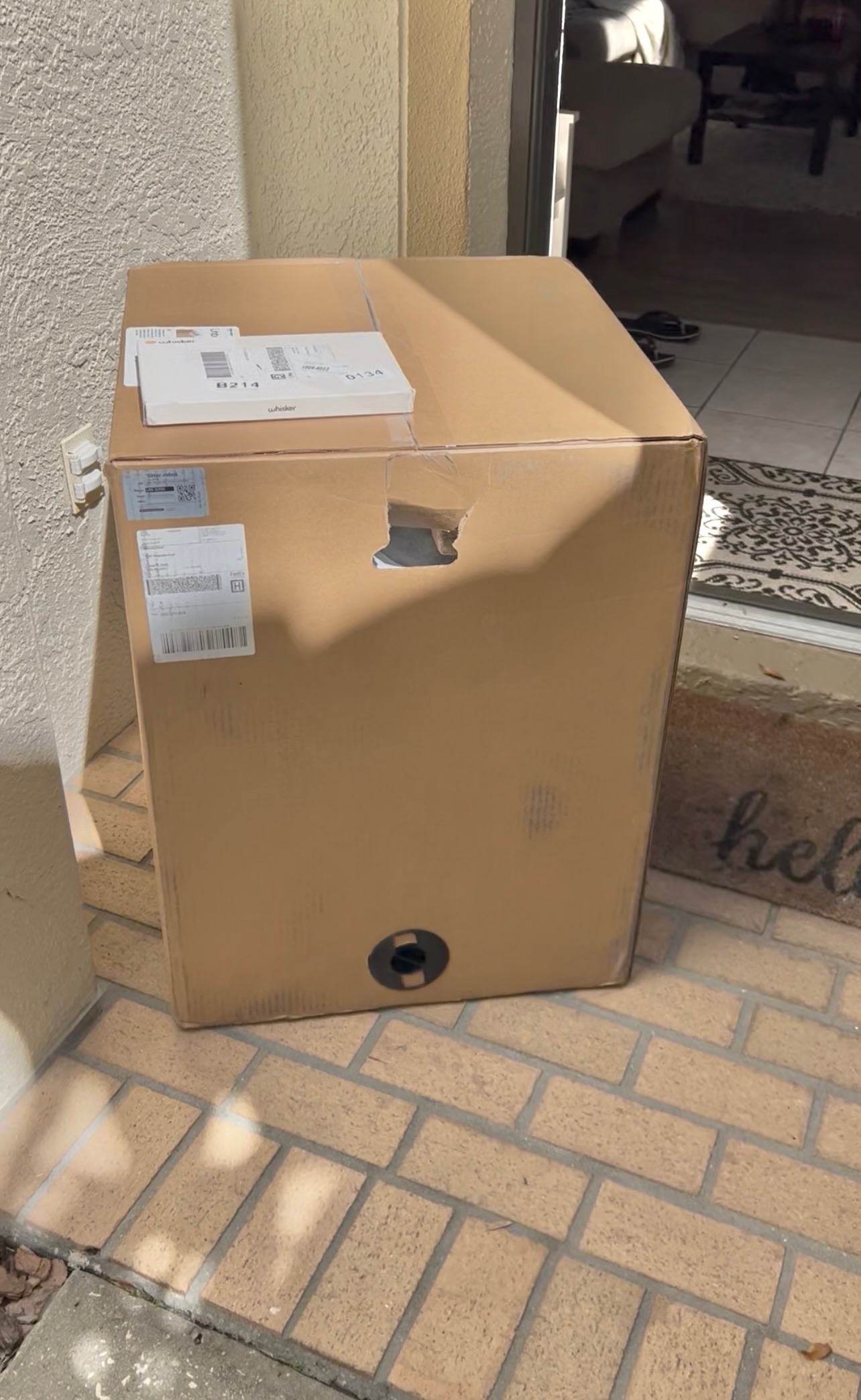 Litter-Robot EVO Review: Compact, Smart, and Perfect for Modern Cat ...