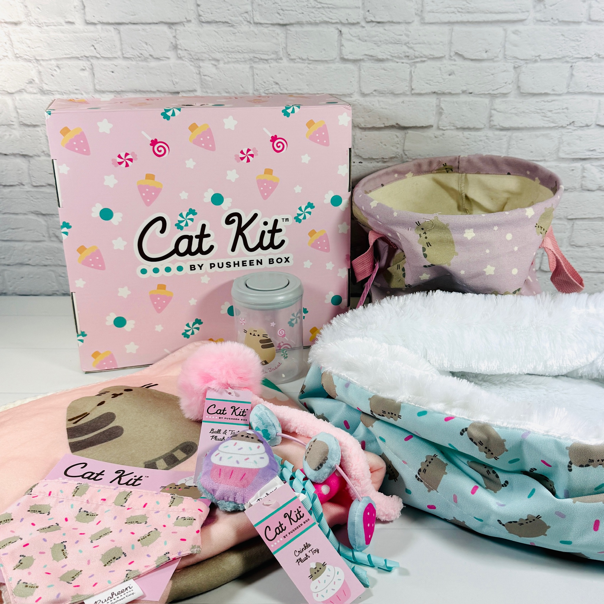 Cat Kit by Pusheen Box Winter 2025 Review - Hello Subscription